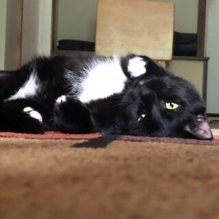 Home - DL Manufacturing