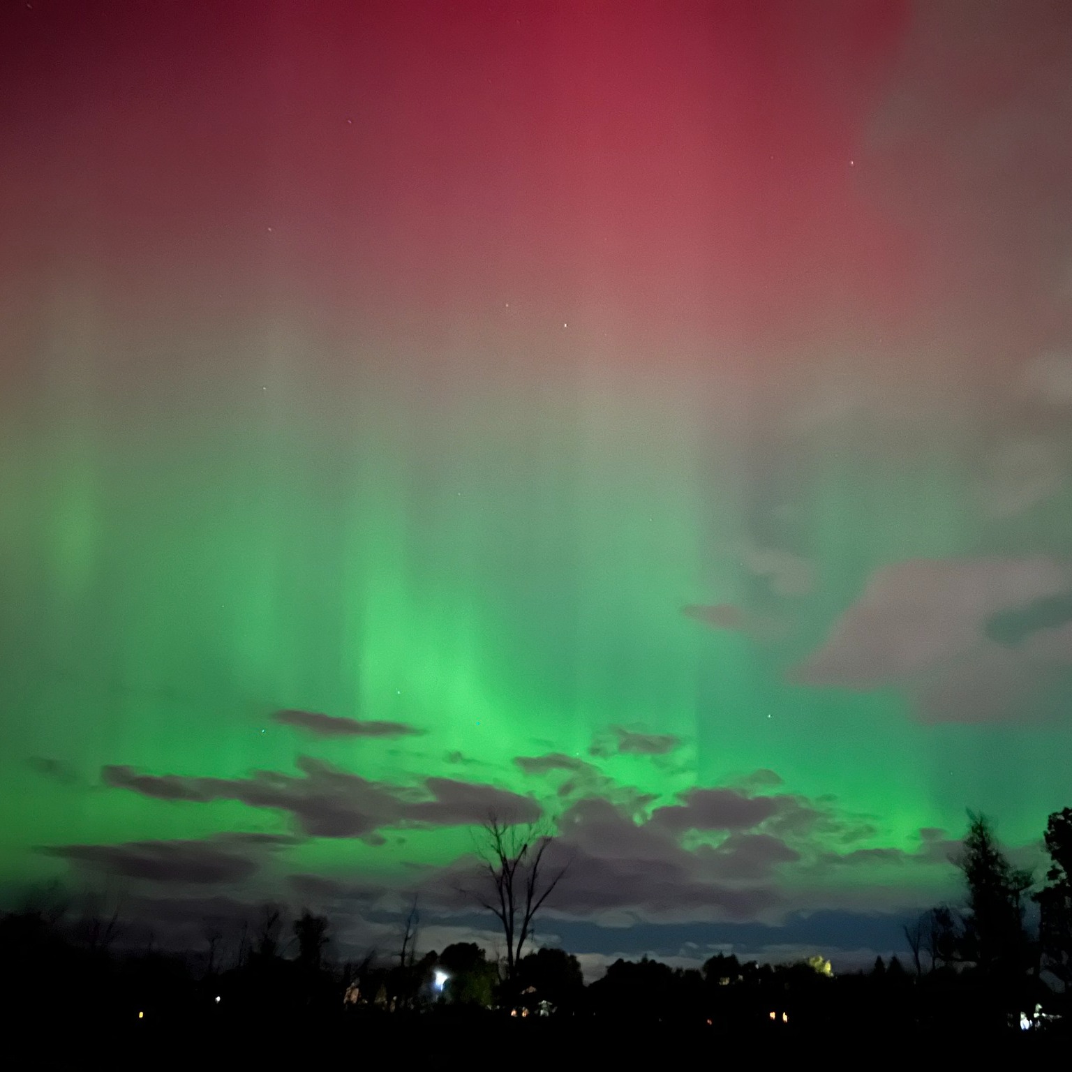 Home - DL Manufacturing